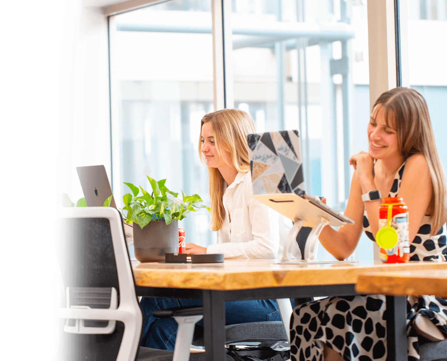 5 Best Free Schema Markup Generators | Uproer